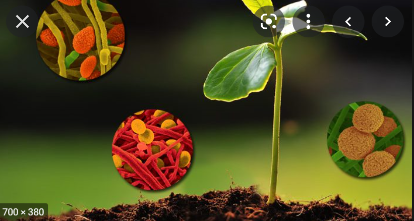 Planet Bio Science – We partner with selected companies from the world ...